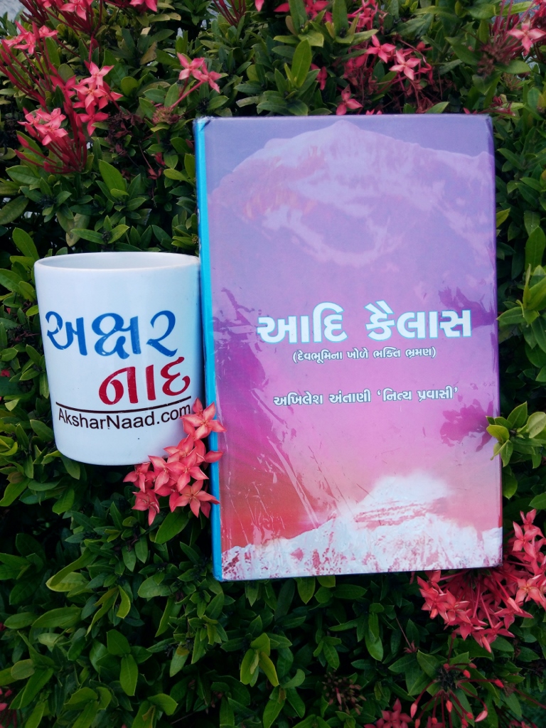 આદિ કૈલાસ : અખિલેશ અંતાણી (પુસ્તક સમીક્ષા) | Aksharnaad.com